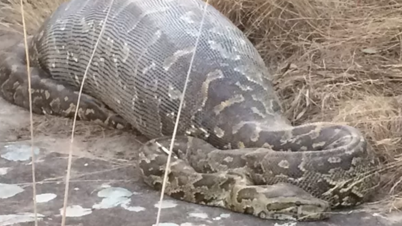 Anaconda Is Bloated Set Up A Lean Robust Data Science Environment