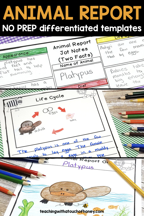 How To Easily Write Animal Reports With Kids
