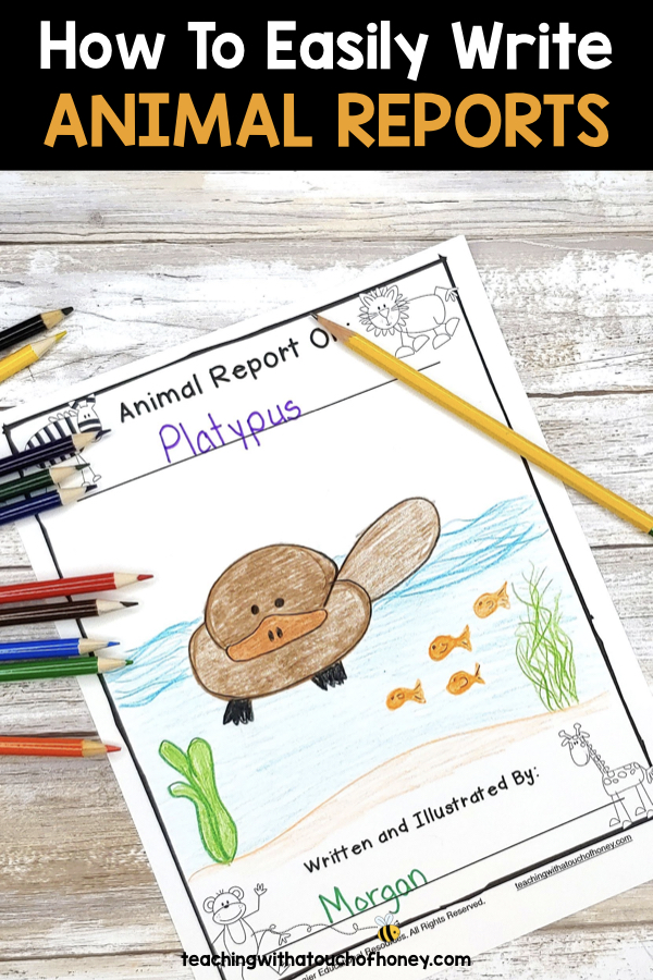  How To Write An Animal Report With Kids In 7 Simple Steps