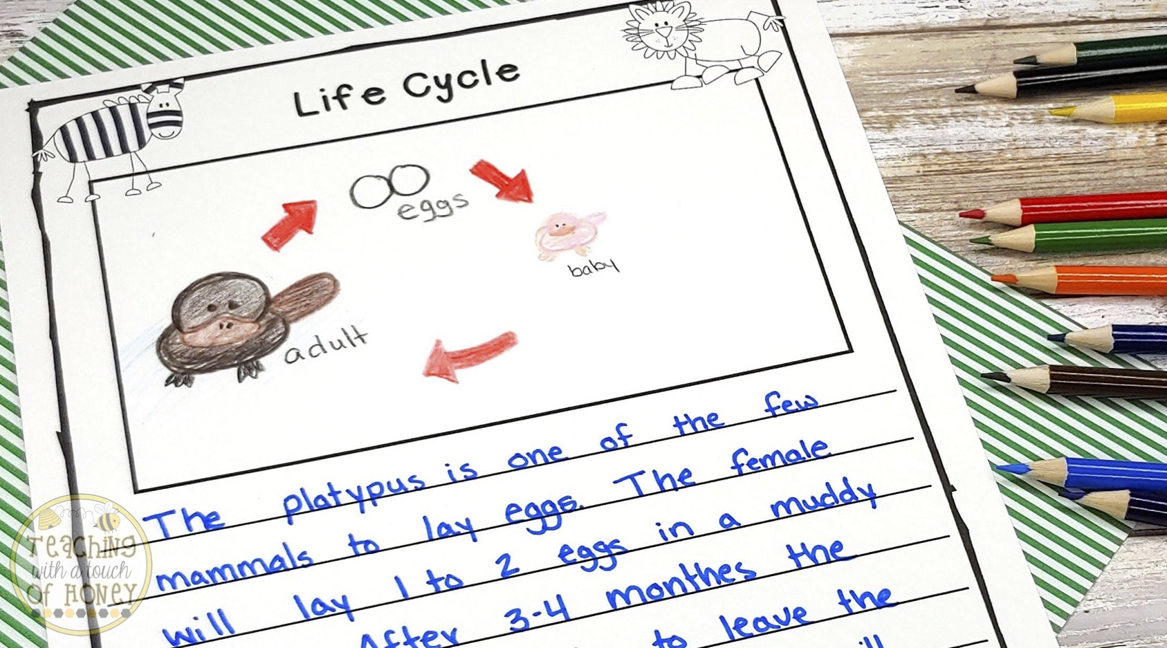  How To Write An Animal Report With Kids In 7 Simple Steps