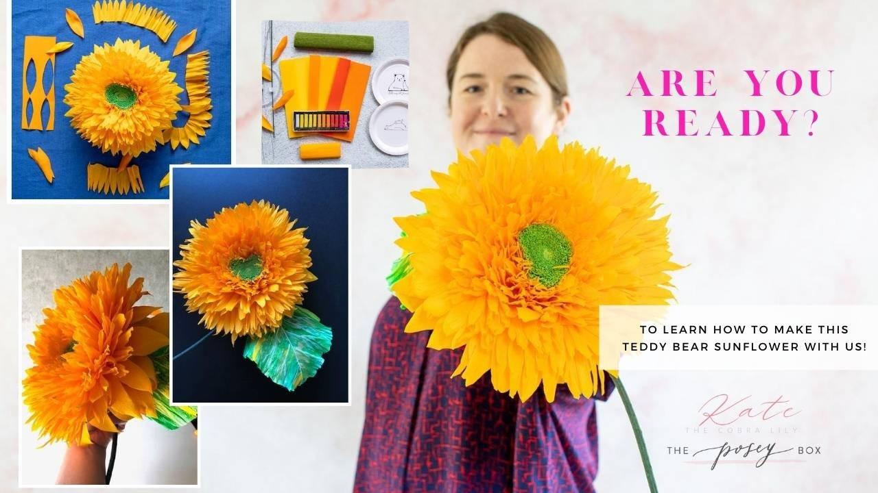 Learn more about The Posey Box