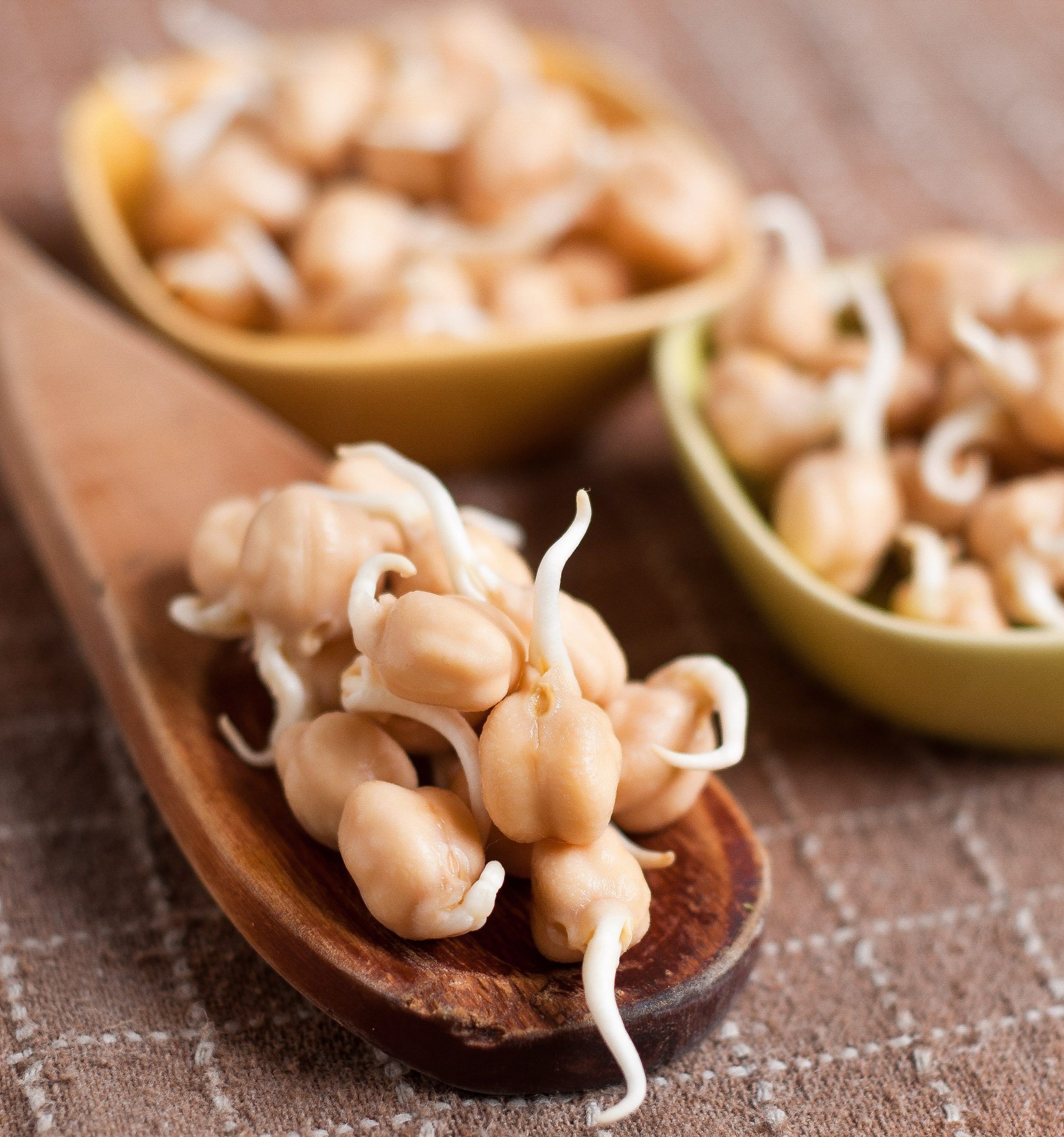 How To Sprout Chickpeas Why You Should Do It 