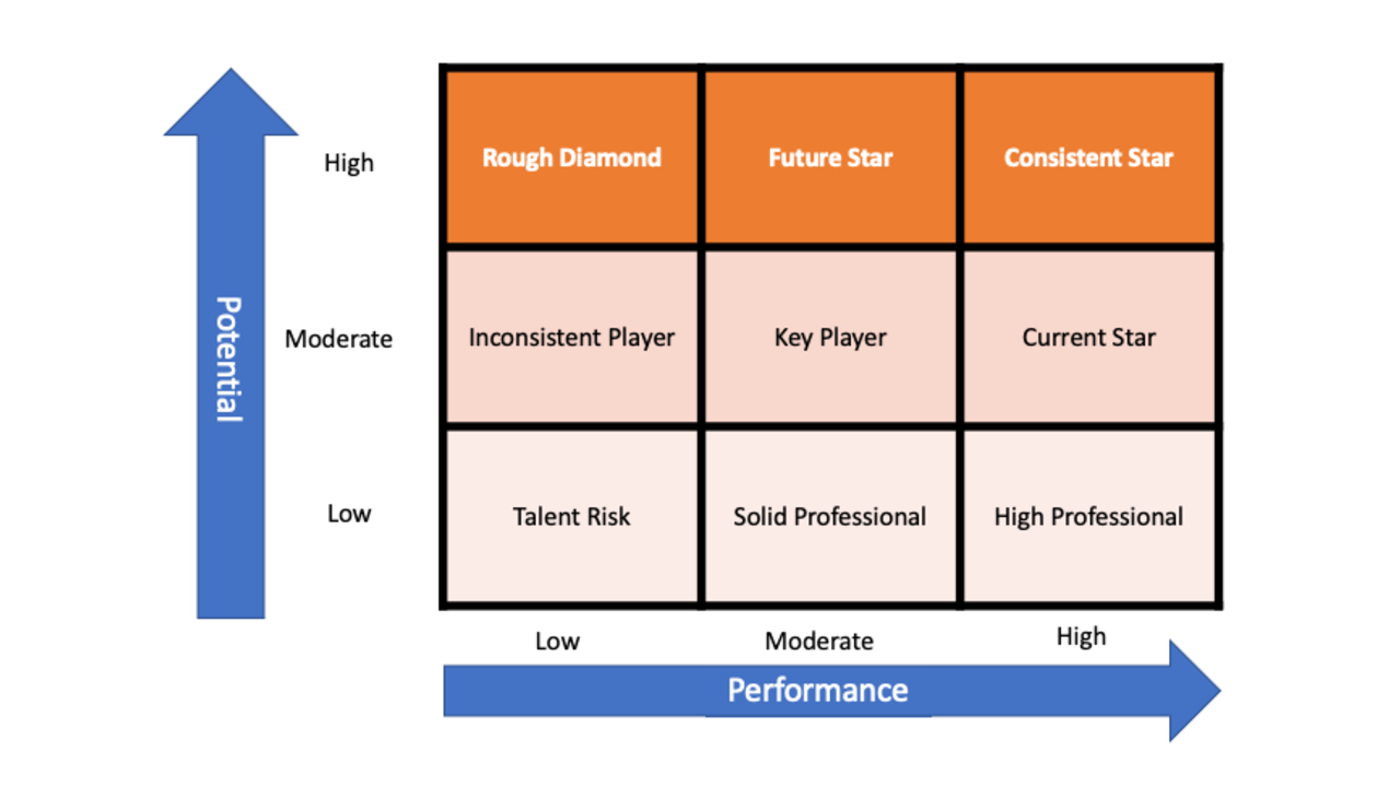 Succession Planning Grid Using The 9 Box Grid