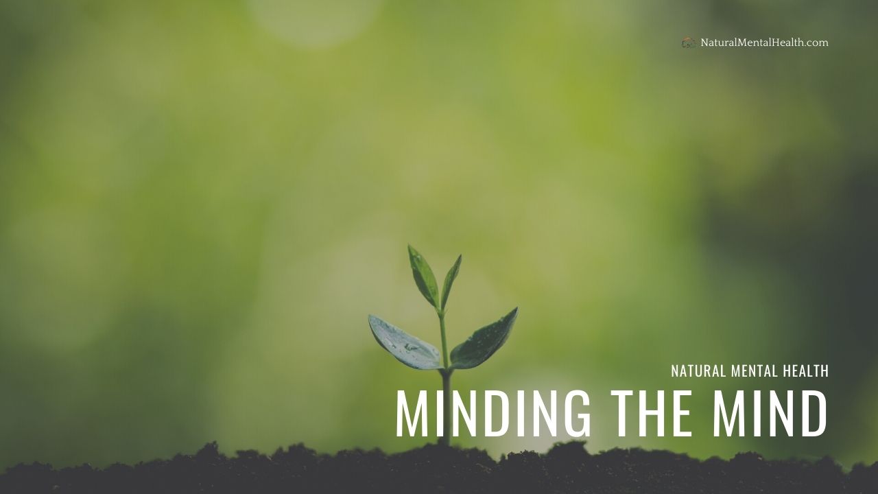 A Mindful View of Motivation