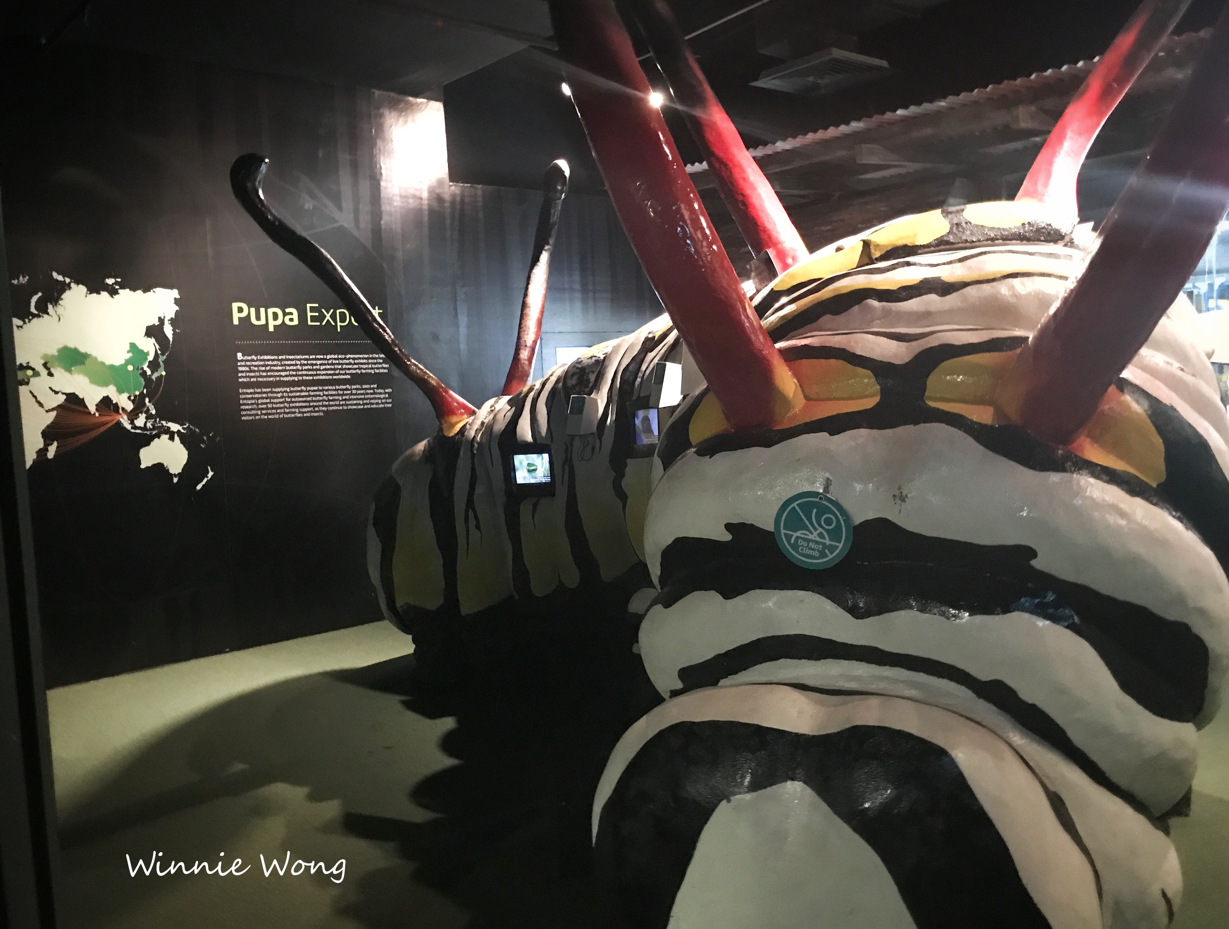 Entopia - the world’s first tropical butterfly and insect sanctuary