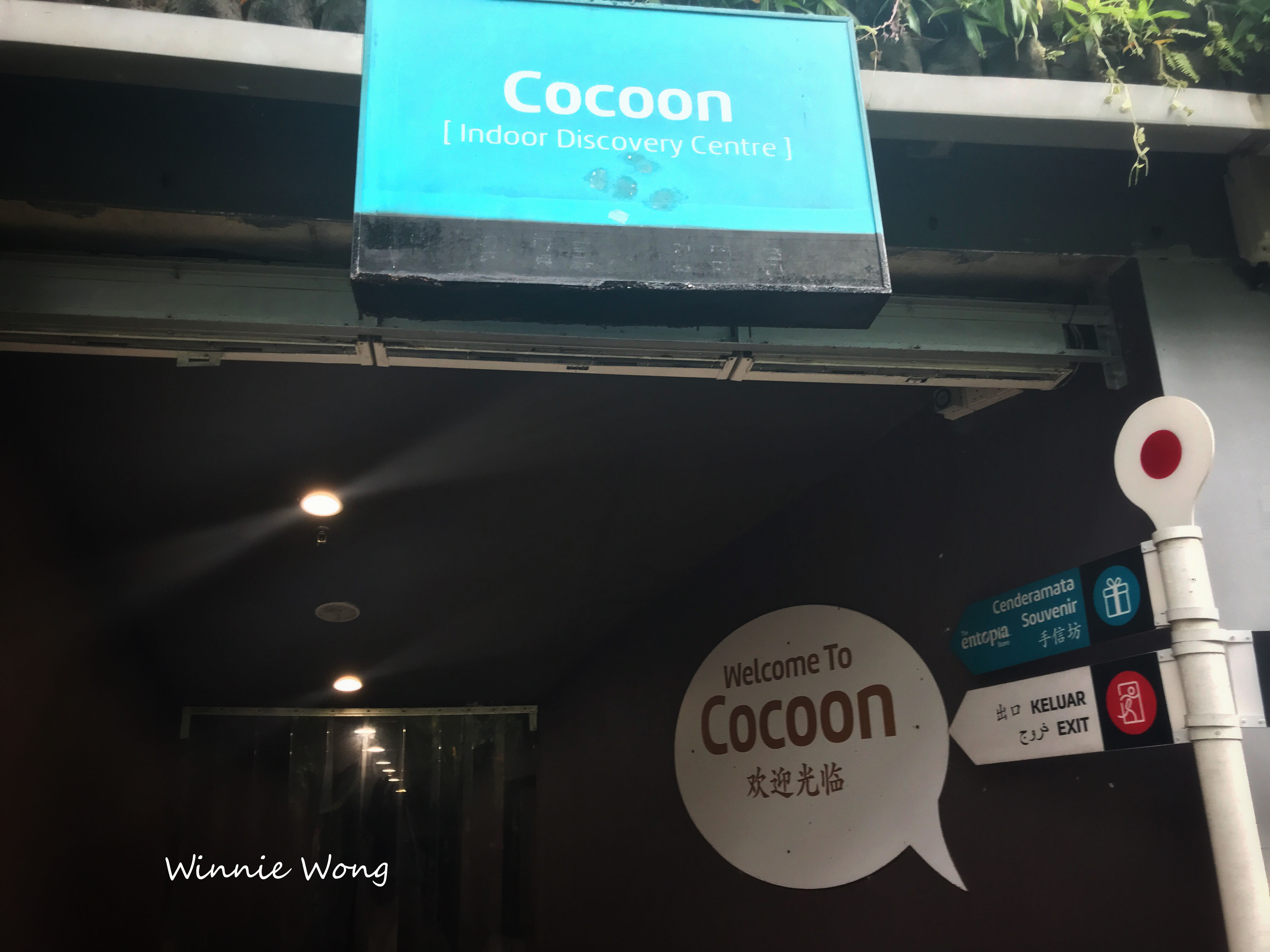 Entopia - the world’s first tropical butterfly and insect sanctuary