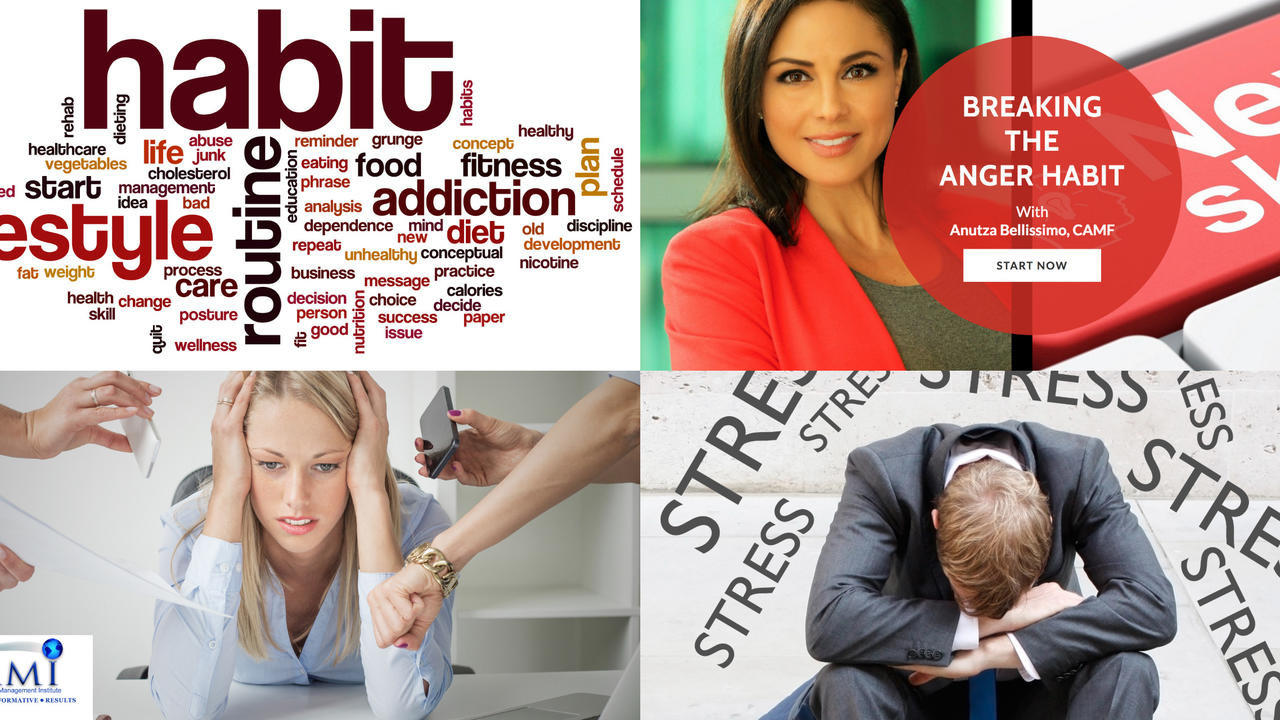 Anger Management Classes - Stress & Anger Management Institute