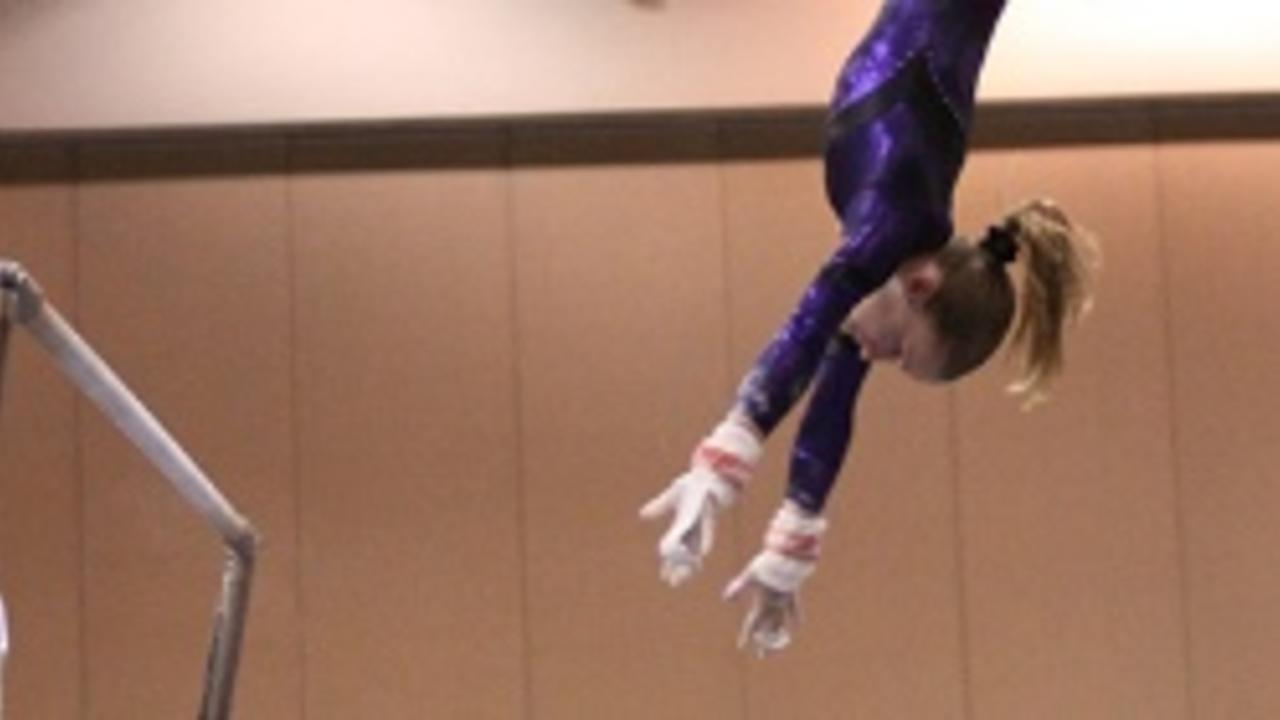 Gymnastics Progressions