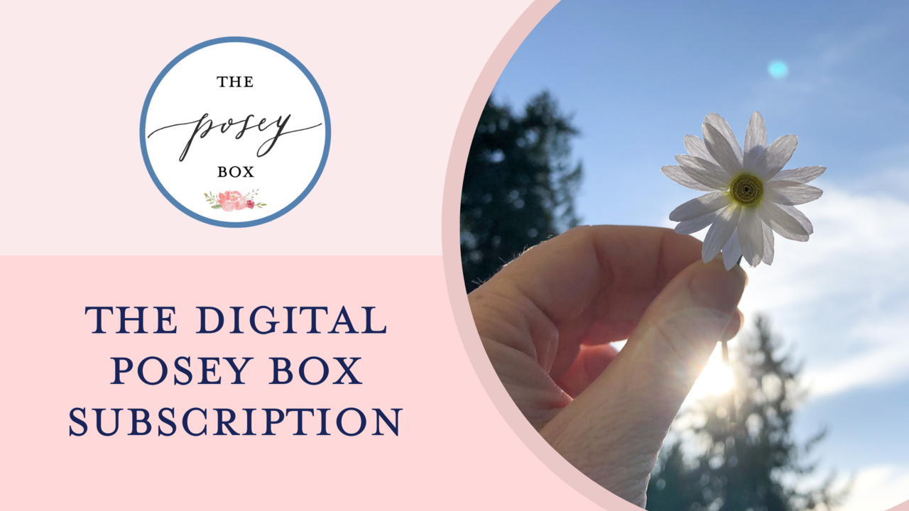 Color and give life to your paper petals with The Posey Box