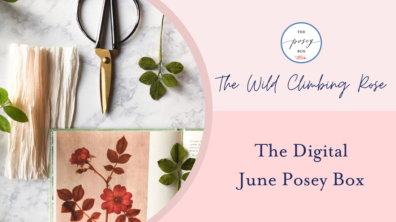 Color and give life to your paper petals with The Posey Box