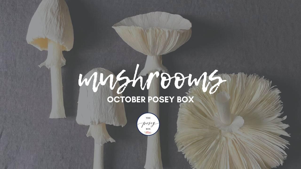 Color and give life to your paper petals with The Posey Box