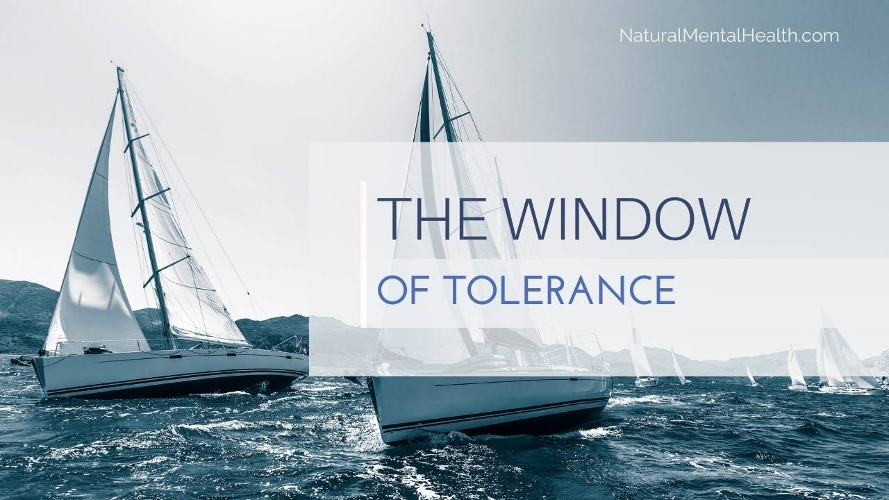 The Window of Tolerance