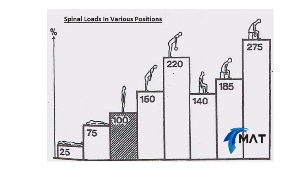Spinal Load Related to Position (Rohlmannt et al. 2001)