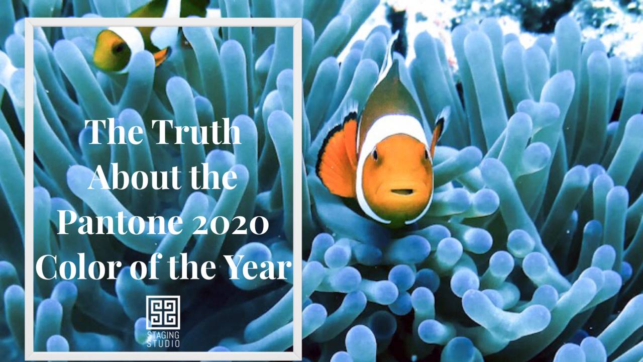 The Truth About the Pantone 2020 Color of the Year