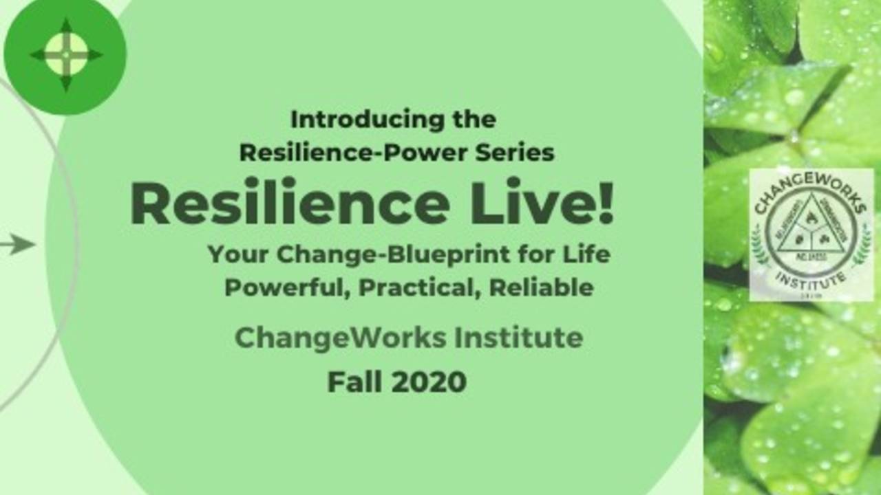 ChangeWorks Institute delivers proven success-generating strategies.