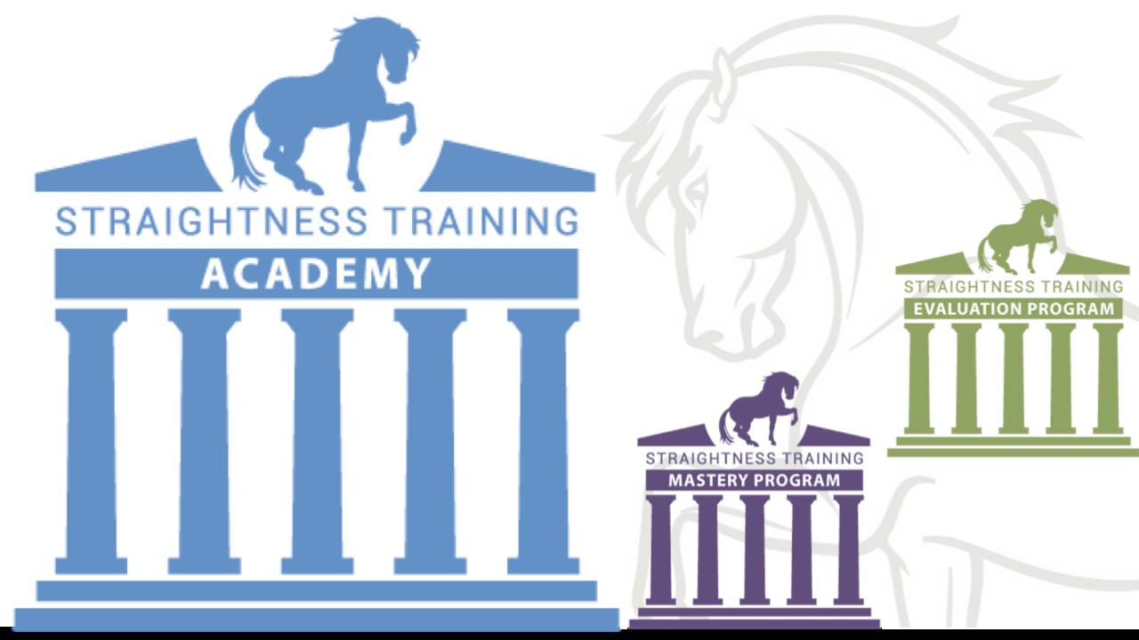 Straightness Training Academy