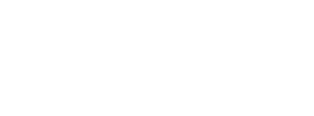 Simple Trader Pro