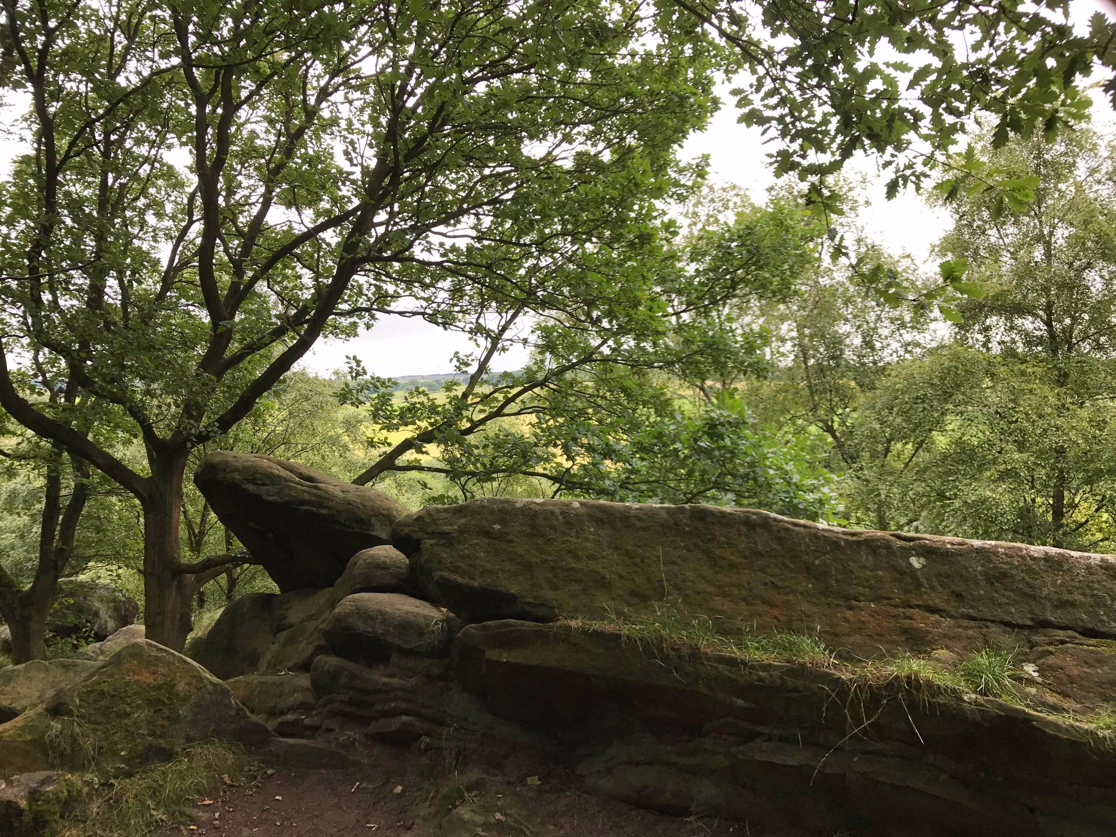 Explore Harrogate Countryside