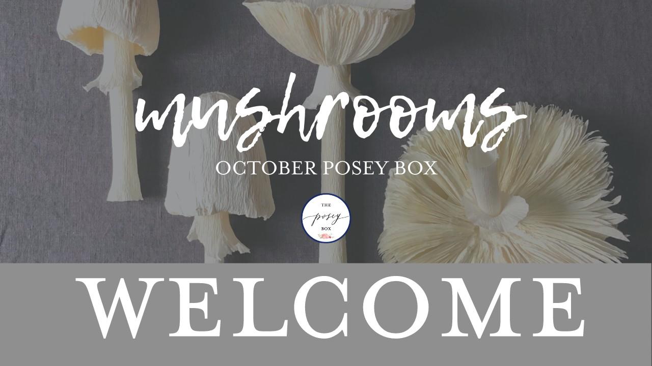 What is the Posey Box?