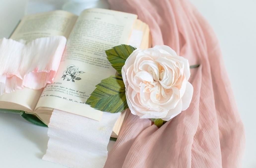 The Posey Box: Basic and Deluxe Holiday Boxes