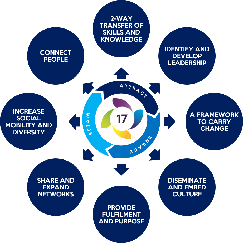 The Power of Mentoring