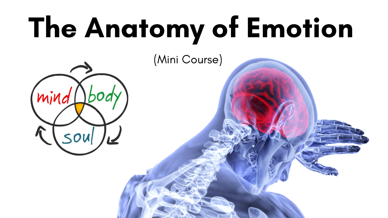 Emotional Anatomy Chart Emotional Anatomy Chart