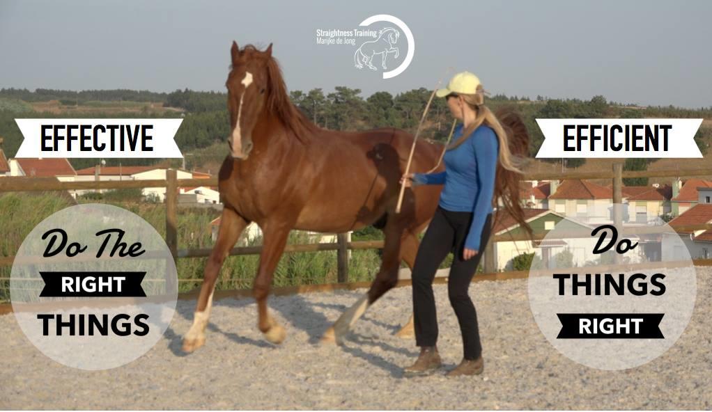 How To Train A Horse - Straightness Training