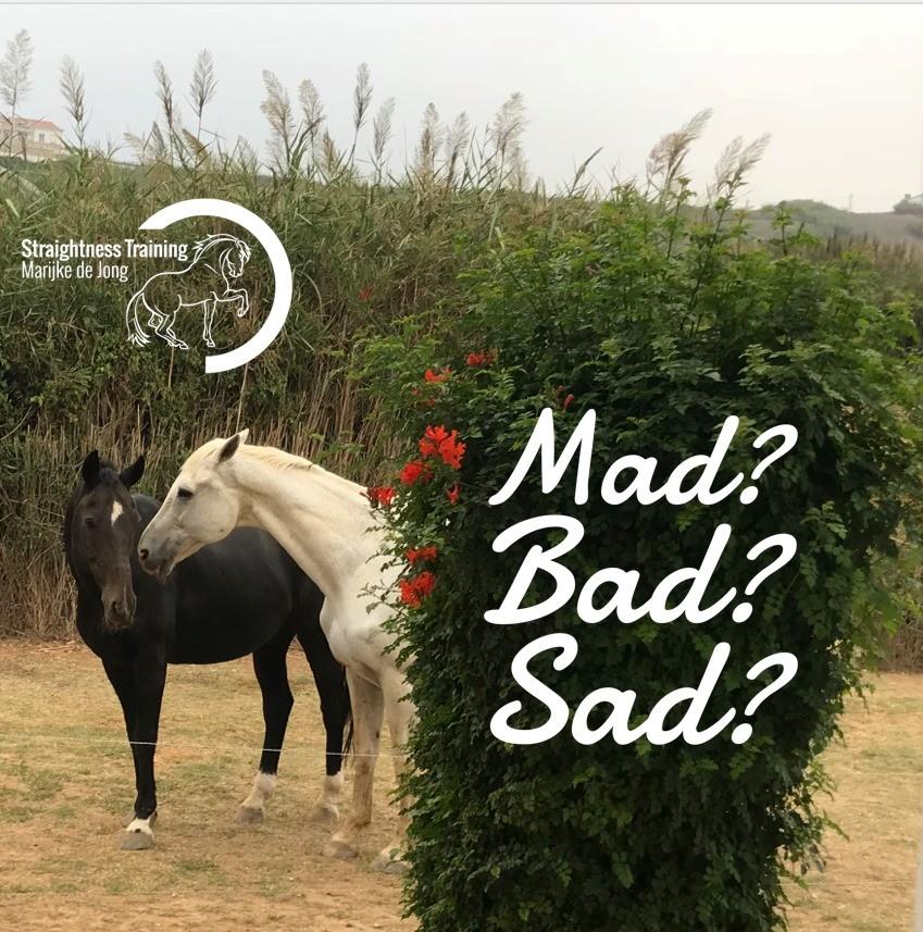 Feeling Bad, Mad or Sad? 7 Strategies To Shake It Off - Straightness ...