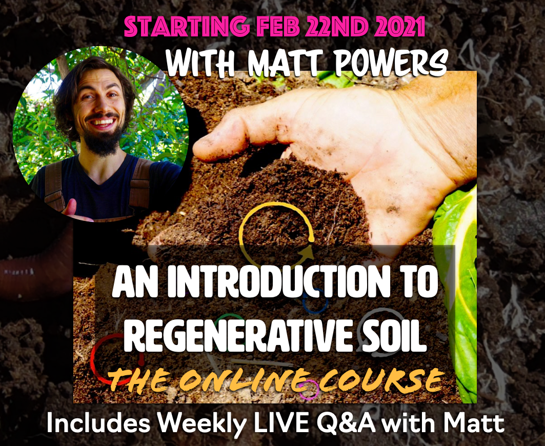 An Introduction to Regenerative Soil