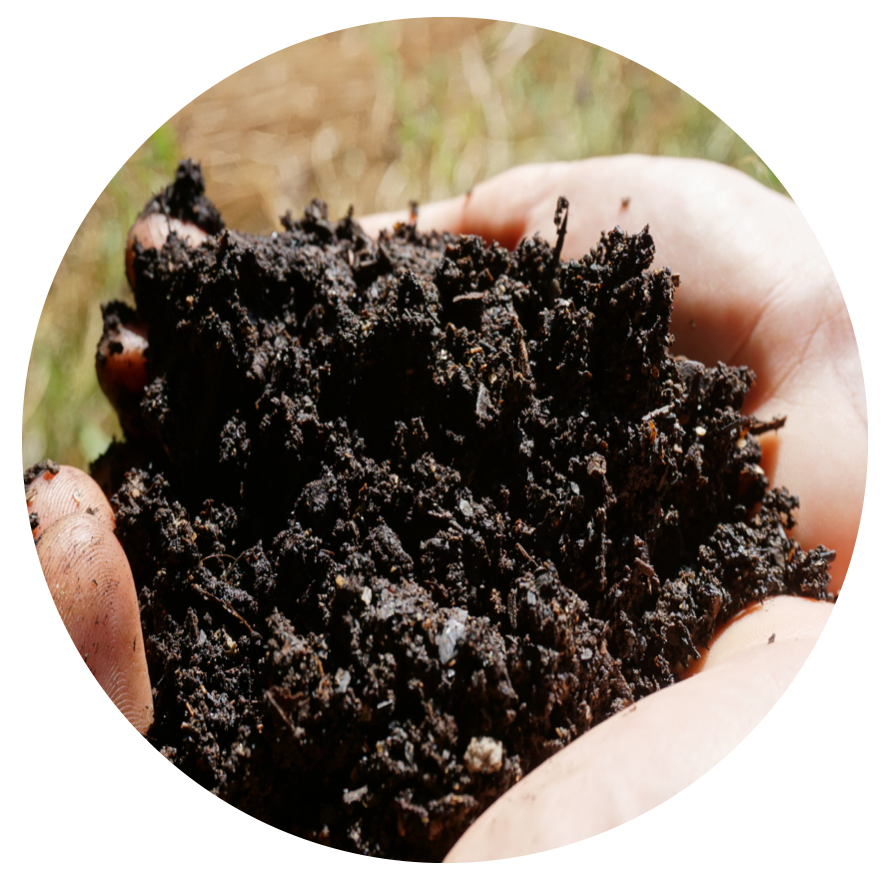 An Introduction to Regenerative Soil