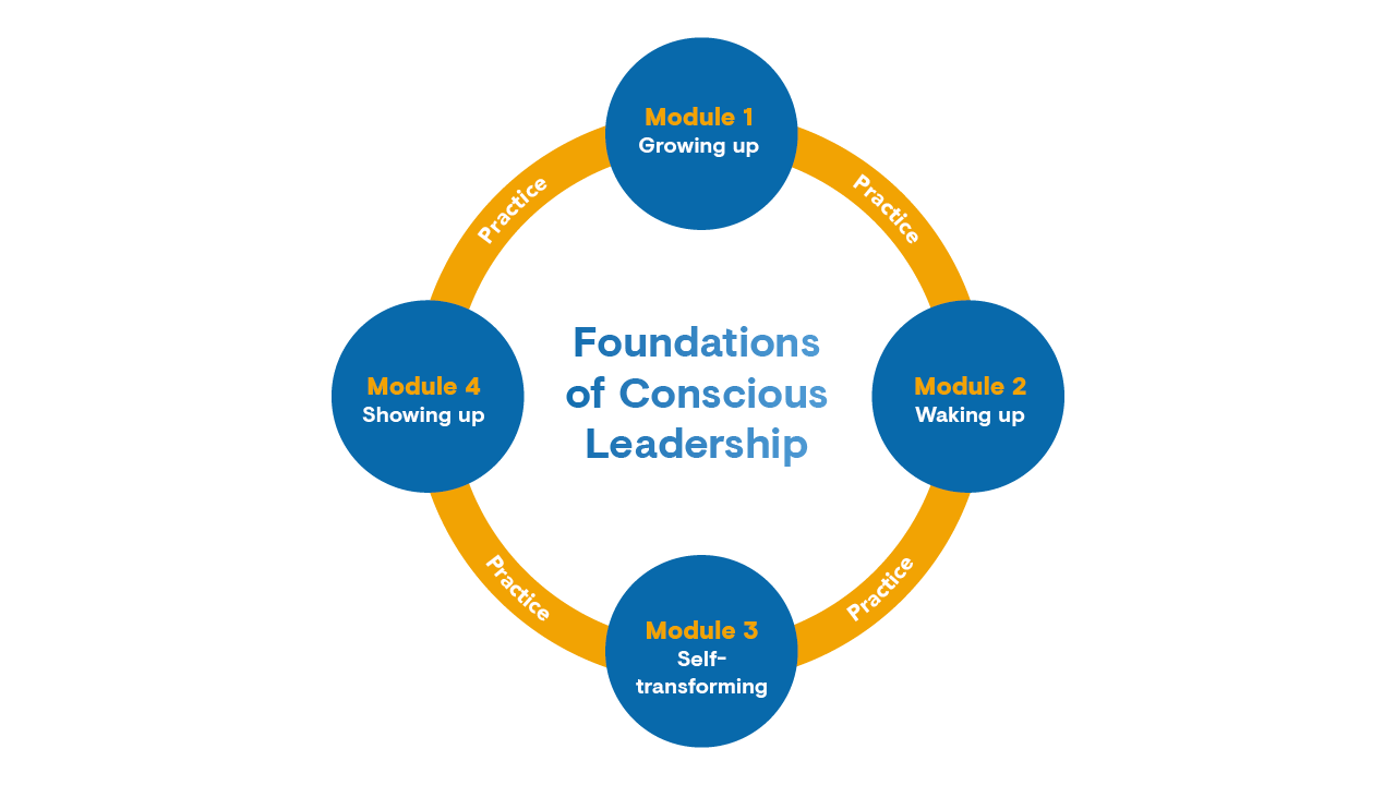 Mastering Conscious Leading and Teaming
