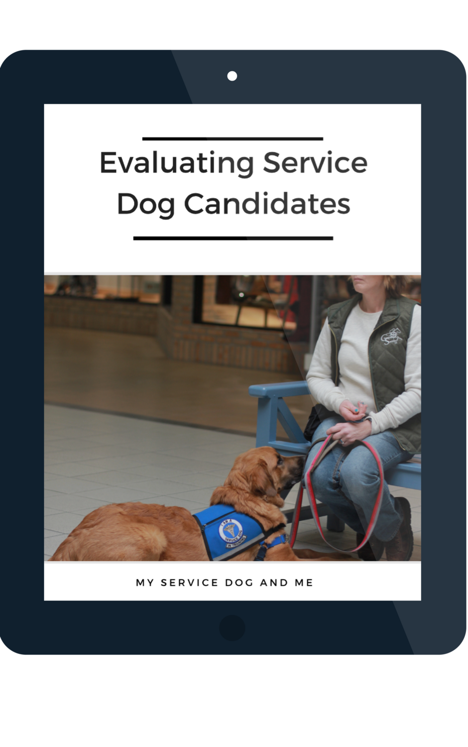 Evaluation E book evaluation-e-book
