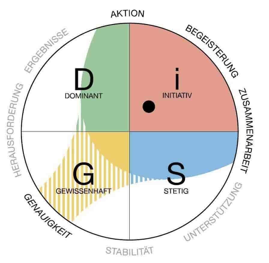 Das Wiley Everything DISG-Modell | Science Sales Academy