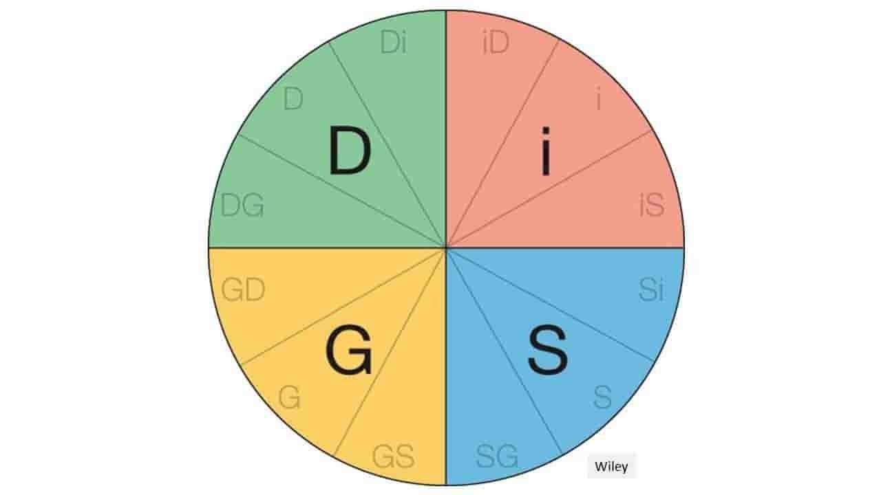 Das Wiley Everything DISG-Modell | Science Sales Academy